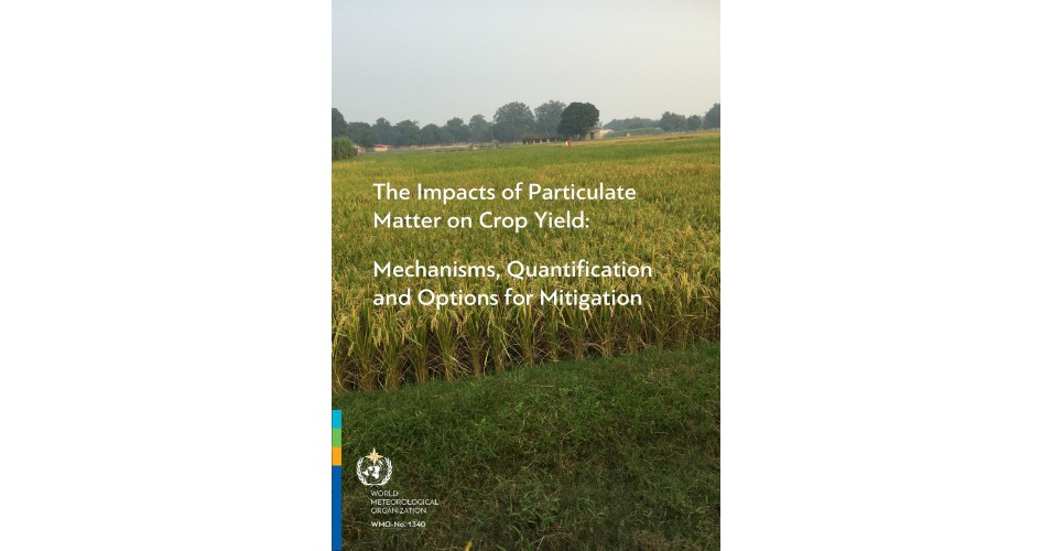 The Impacts of Particulate Matter on Crop Yield: Mechanisms ...