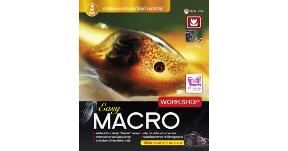 Easy Macro Workshop