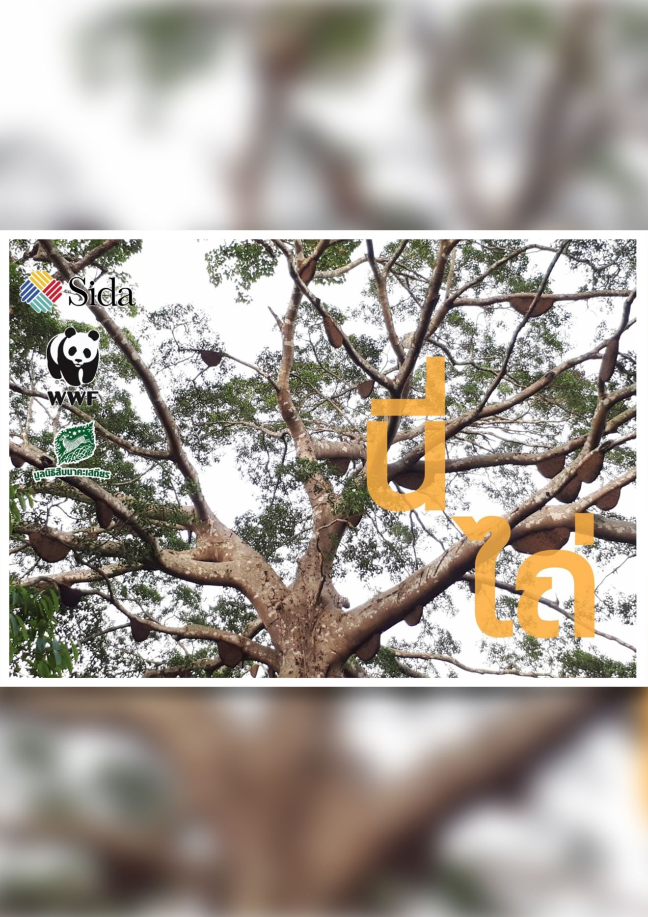 อีบุ๊กแบ่งปัน | eBookBankPun ห้องสมุดแบ่งปัน มีหนังสืออีบุ๊กดีๆ ให้ทุกคนอ่านฟรี